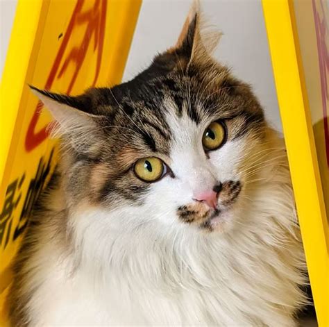 分类 吴世涵的博客