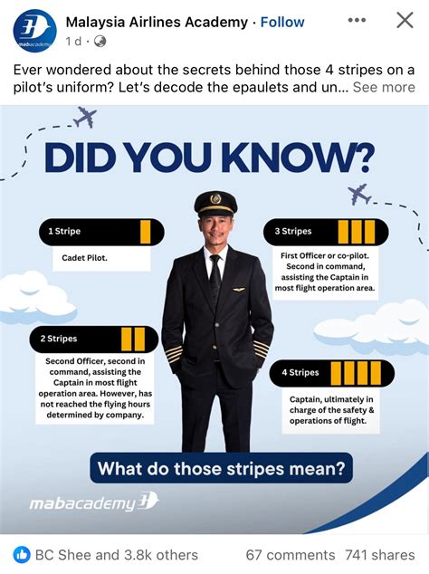 Pilots Rank Insignia Current Affairs And Lifestyle Fengshui Geomancy Net