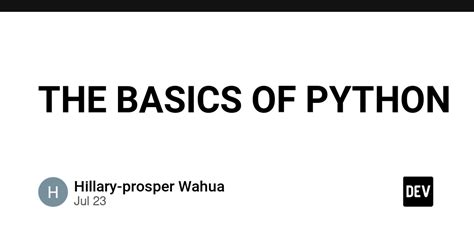The Basics Of Python Dev Community