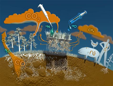 Science Overview Hungate Lab