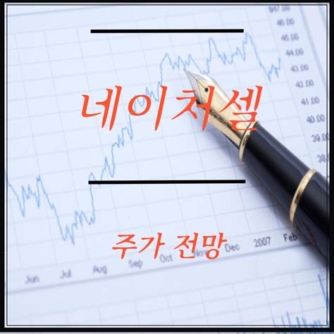 네이처셀 주가 전망 2025 바이오 기업의 급락 이후 반등 가능성은