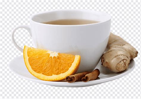 녹차 컵 향신료 바다 갈매 나무속 음식 차 찻잔 png pngwing