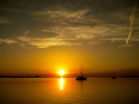 Our Story Sailing Ruby Rose