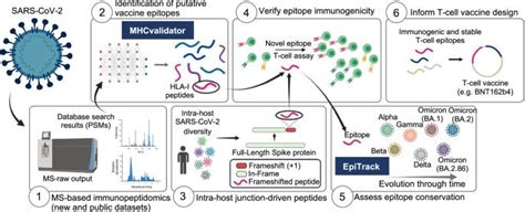 Julie Hussin On Linkedin Machine Learning Enhanced Immunopeptidomics