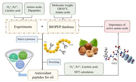 Dipeptide Structural Formula Dipeptide Structural Formula