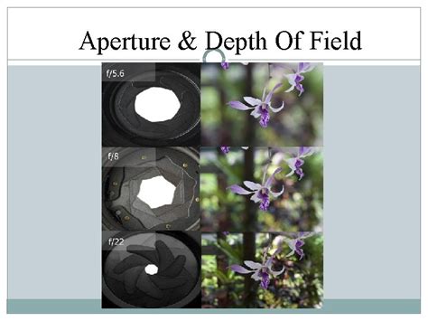 aperture shutter speed iso depth of field guideline