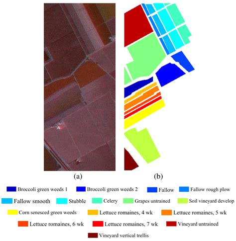 salinas a false color image b ground truth map download