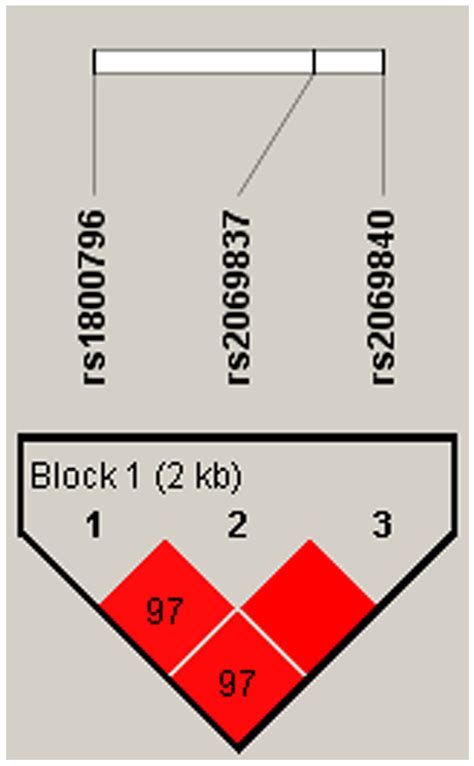 Linkage Disequilibrium Patterns Of Three Snps In Il 6 Download Scientific Diagram