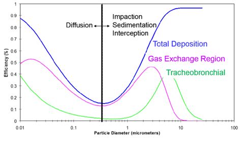 12 Lung Deposition Curve Showing The Regions In The Lung That