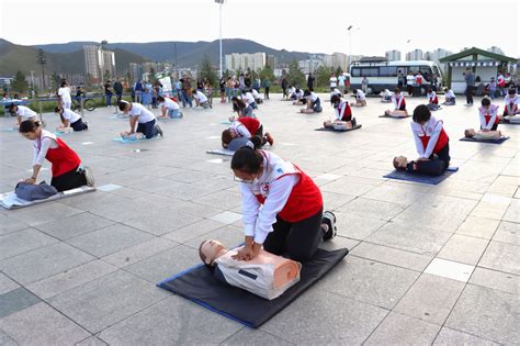 Үндэсний цэцэрлэгт хүрээлэнд иргэдэд зориулсан анхны тусламж үзүүлэх