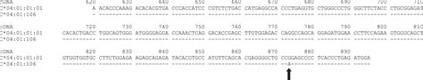 alignment of the exon 4 nucleotide sequences of the novel download