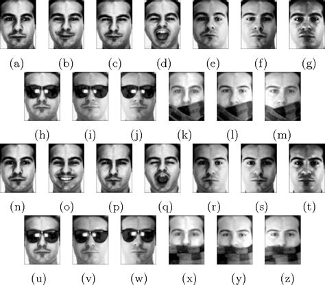 Figure 1 From Fractional Order Singular Value Decomposition Representation For Face Recognition