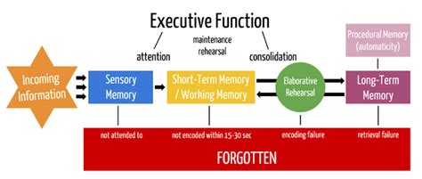 Educational Blog Information Processing Theory And Impact On Learning