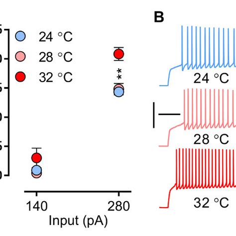 PDF Whole Cell Patch Clamp Recordings In Brain Slices