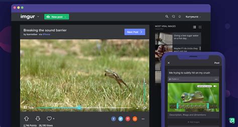  Lord Imgur Caves To Video To Hasten Profitability Techcrunch