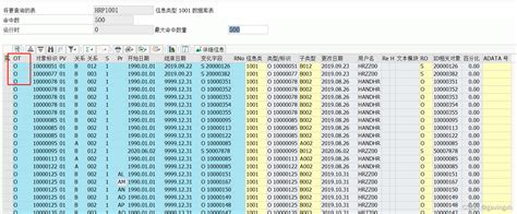 Sap Hcm Hrp1001 关系 Sap Hrp Csdn博客