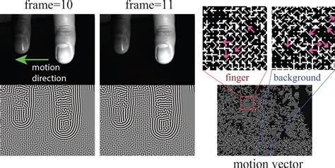 Snapshot Of Two Dimensional Rd Preprocessing Frame10 And Frame11 Download Scientific