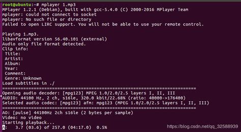 Mplayer后台播放没有声音 Csdn博客