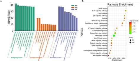 Gene Ontology Go Analysis And Kegg Pathway Enrichment Analyses A Download Scientific
