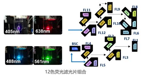 Ma900 多功能全自动流式细胞分选仪上海江文 显微成像流式细胞仪外泌体细胞分析多组学技术服务商 专业解决方案 Ma900 多功能全自动流式细胞分选仪上海江文 显微成像流式细胞仪外泌体细胞分析多组学技术服务商 专业解决方案