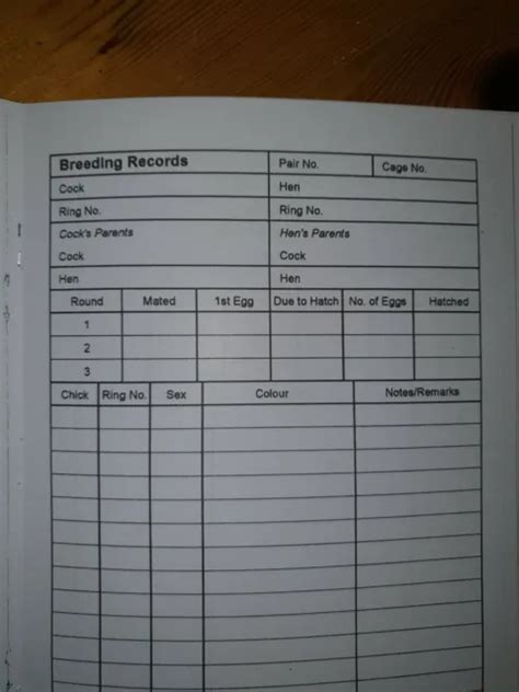Bird Room Breeding Logregisterrecord Book Finches Canarys Parrots