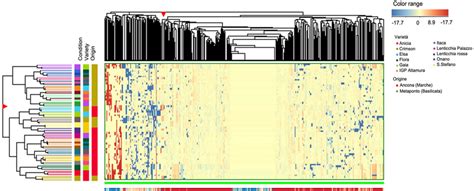 Hierarchical Cluster Analysis Euclidean Distance Carried Out From The