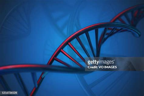molecular cloning photos and premium high res pictures getty images