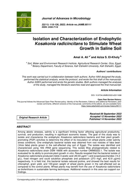 Pdf Isolation And Characterization Of Endophytic Kosakonia Radicincitans To Stimulate Wheat