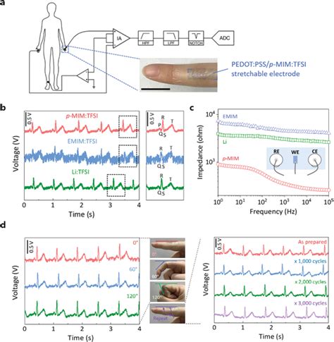 A Schematic Diagram Of Ecg Measurement And Photograph Of A Stretchable