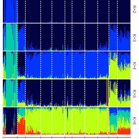 Results From The Bayesian Population Assignment Of Microsatellite Data Download Scientific
