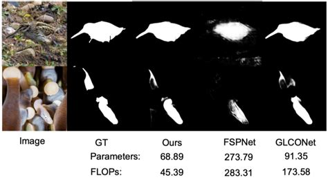 [论文审查] Fmnet Frequency Assisted Mamba Like Linear Attention Network For Camouflaged Object