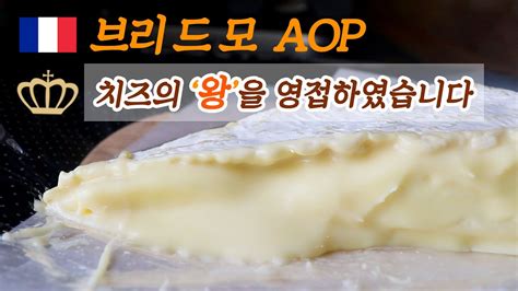 먹어보기 브리 드 모 Aop원조 브리치즈의 맛은 어떨까 Youtube