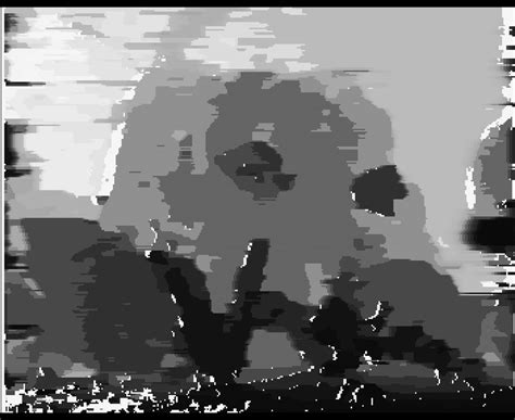 a disparity map from the basic disparity space algorithm b