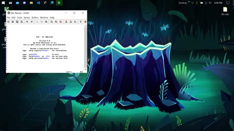 I Cant Open Vim Terminal Rvim
