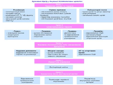Акушерские кровотечения во время первого триместра беременности Внематочная беременность