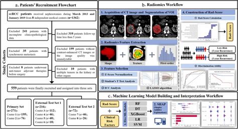 Interpretable Machine Learning Radiomics Model Predicts 5 Year Recurrence Free Survival In Non