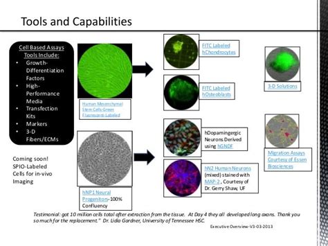 Cell Based Assays Presentation V2 03 2012