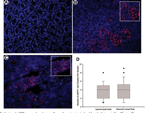 Autoimmune Enteropathy Semantic Scholar