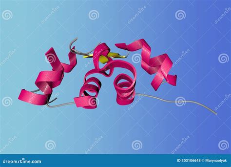 T6 Human Insulin Ribbons Diagram In Secondary Structure Coloring 3d Illustration Stock