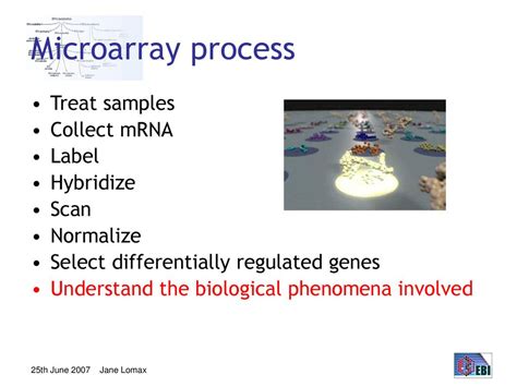 Using The Gene Ontology Go For Analysis Of Expression Data Jane Lomax