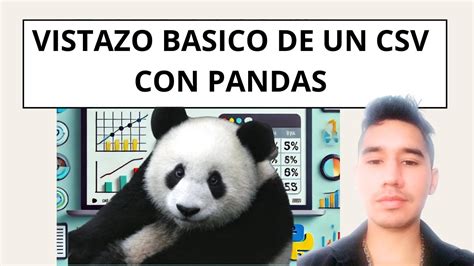 Leccion 31 Vistazo Básico A Un Csv Con Pandas Head Shape Info Describe Sample Tail By