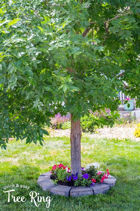 Quick And Easy Tree Ring