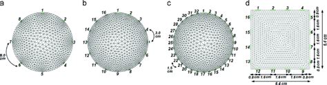 Finite Element Meshes Used In Forward Calculations A Circular