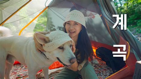 여름엔 계곡이 답이다 백숙and삼겹살 막걸리and소주 안 먹고 배겨 Youtube