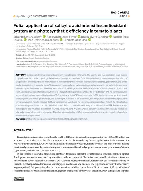 Pdf Foliar Application Of Salicylic Acid Intensifies Antioxidant System And Photosynthetic