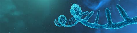 Transcriptomics