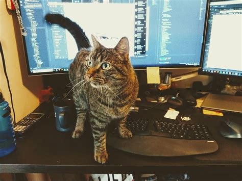 How To Deploy Server Side React App On Aws Sean Hudson Medium