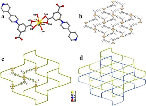 A The Unit Structure Of Complex 2b The 2d Supramolecular Network Of