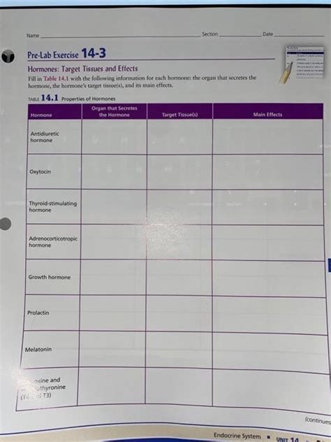 Solved Name Section Date Pre Lab Exercise 14 3 Hormones Chegg Com