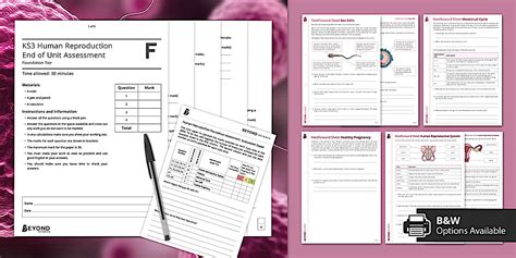Human Reproduction Assessment Foundation Ks3 Biology